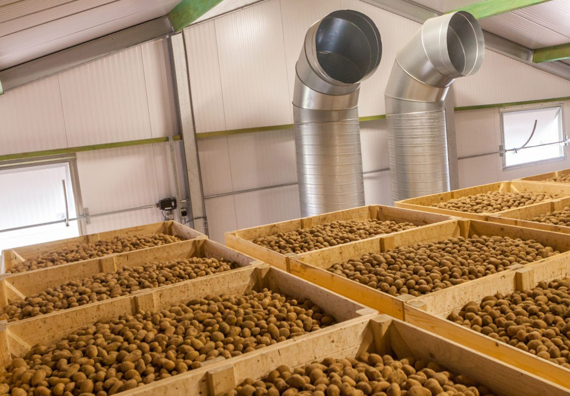 Технология хранения картофеля, овощей и плодов